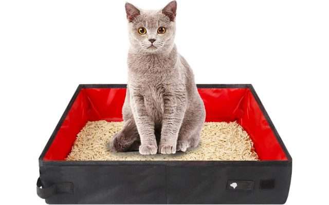 Portable Litter Box: The Ultimate Solution For Traveling With Your Cat ...