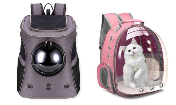 Cat Backpack Carriers: Your Complete Guide To Cat Travel - Meowa.com