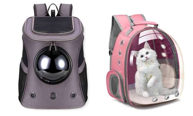Cat Backpack Carriers: Your Complete Guide To Cat Travel - Meowa.com
