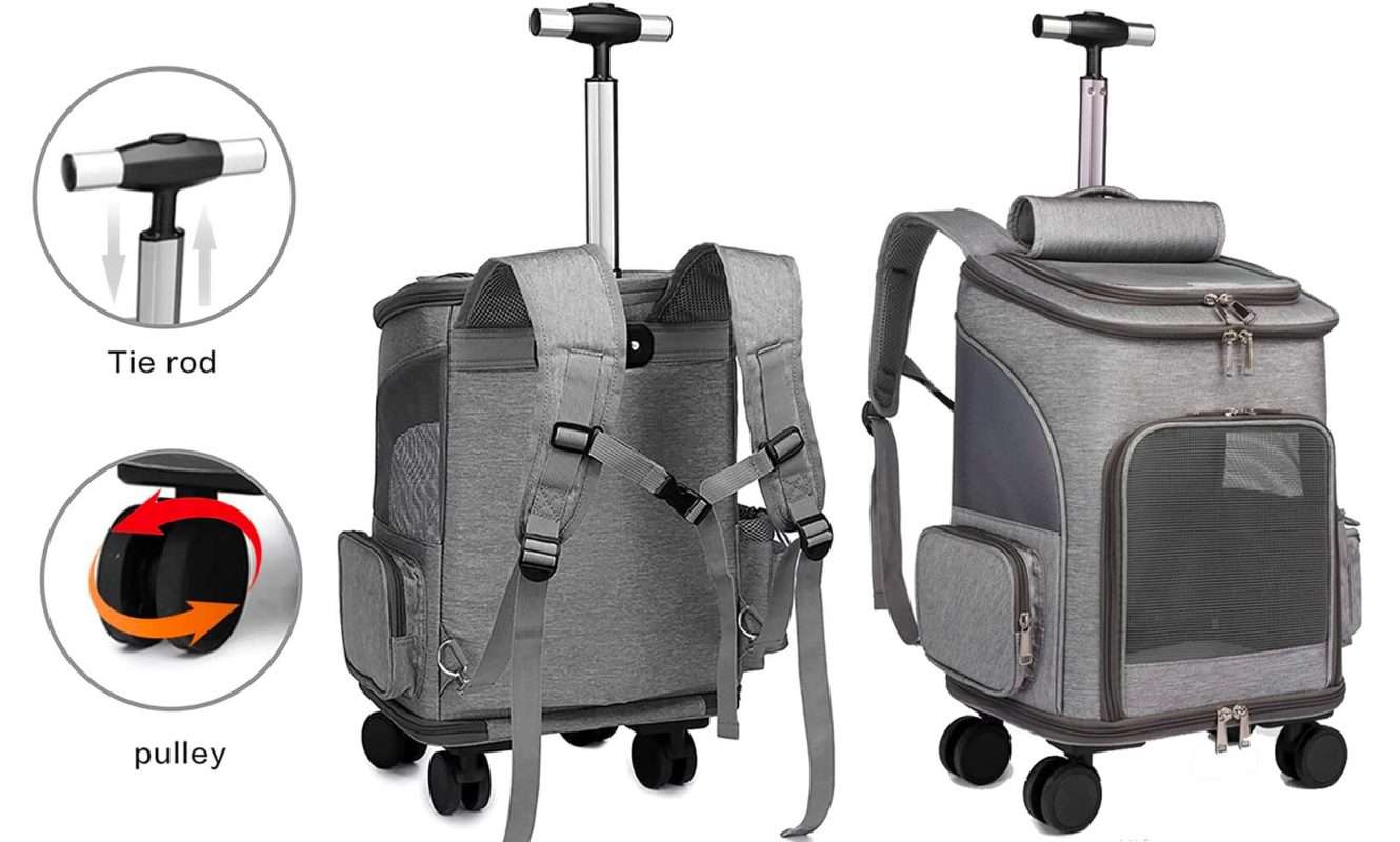 Cat Backpack Carriers: Your Complete Guide To Cat Travel - Meowa.com