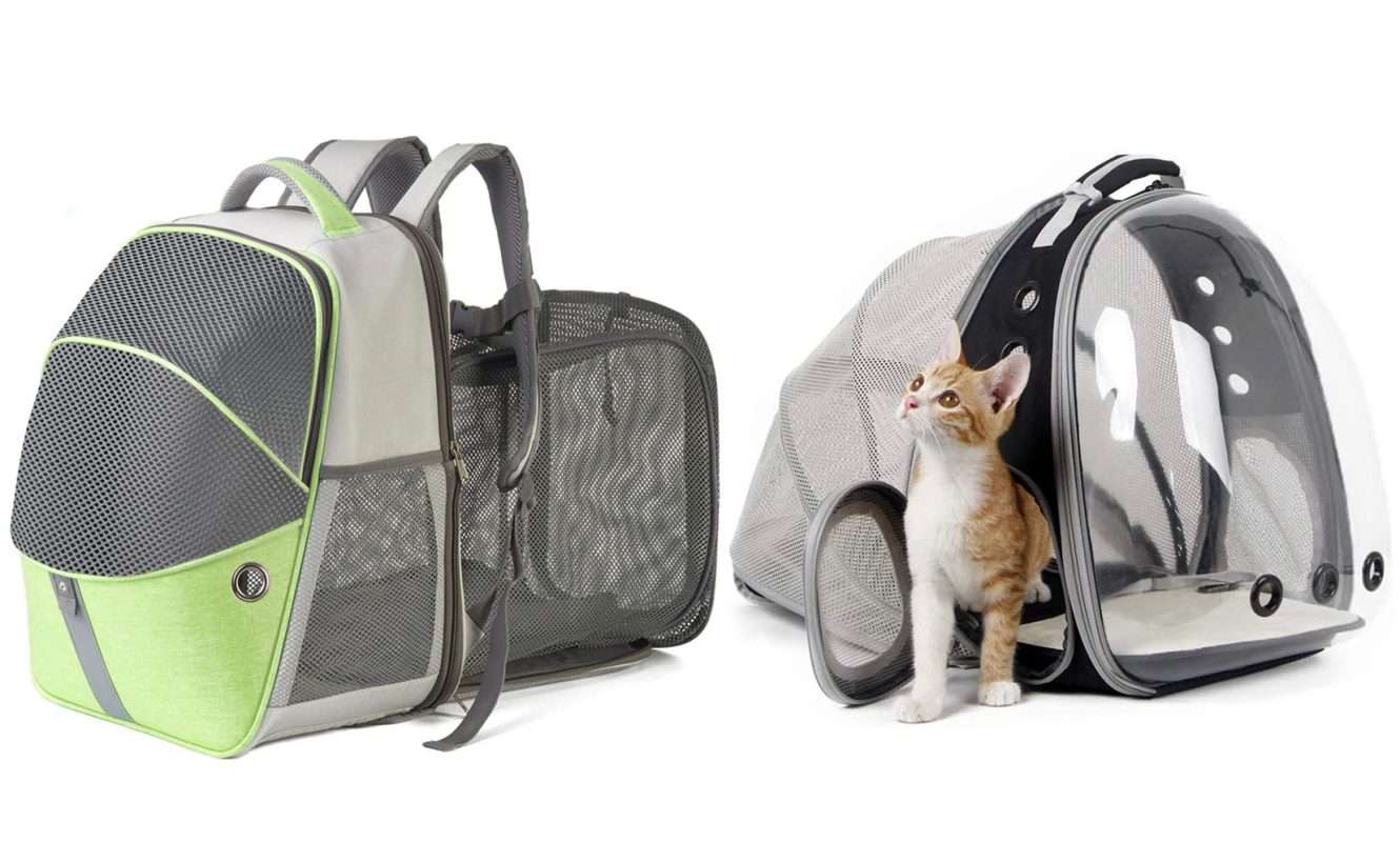 Cat Backpack Carriers: Your Complete Guide To Cat Travel - Meowa.com