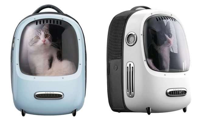 Cat Backpack Carriers: Your Complete Guide To Cat Travel - Meowa.com