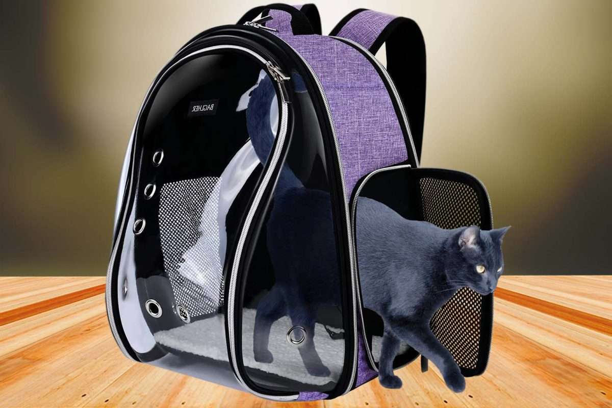 Best Cat Backpack With Window, Bubble: Top 10 Picks For 2024