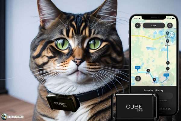 Top 6 Best Cat GPS Trackers: 2024 Ultimate Guide & Reviews