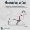 Measuring A Cat For Harnesses, Carriers, Collars & Clothes