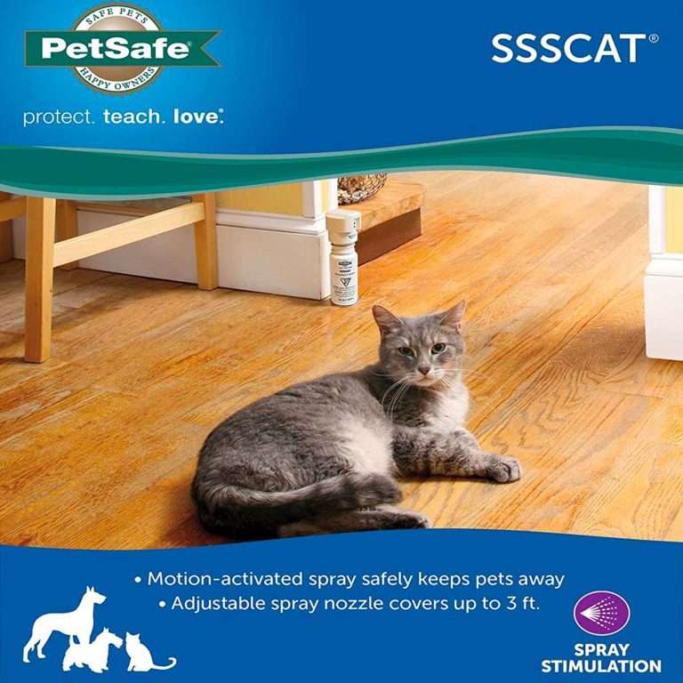 How To Cat-Proof Your House: Ultimate Safety Guide