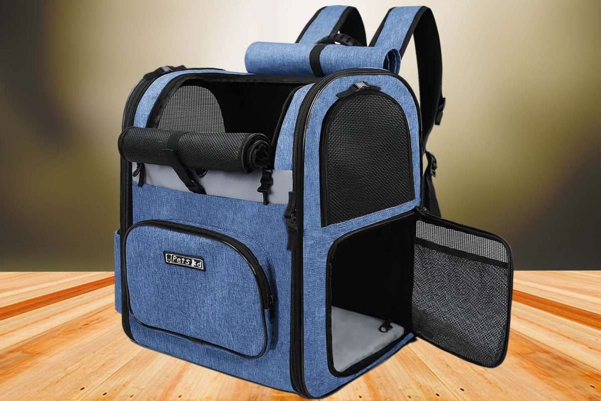 10 Best Cat Backpacks For Large Cats 2024: Top Picks!