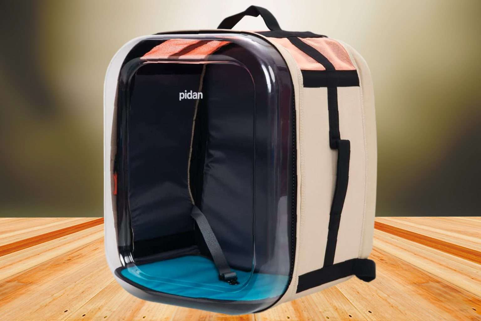 10 Best Cat Backpacks For Large Cats 2024: Top Picks!