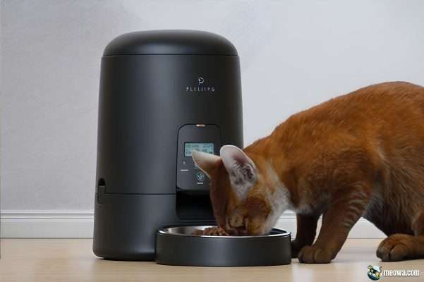 Best Automatic Cat Feeders Reviews And Buyers Guide 2024