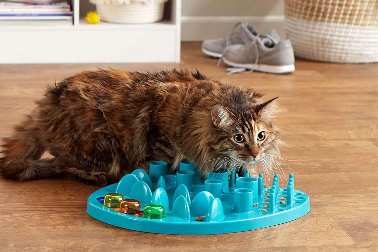 10 Best Cat Trees For Large Cats: Your 2023 Buying Guide