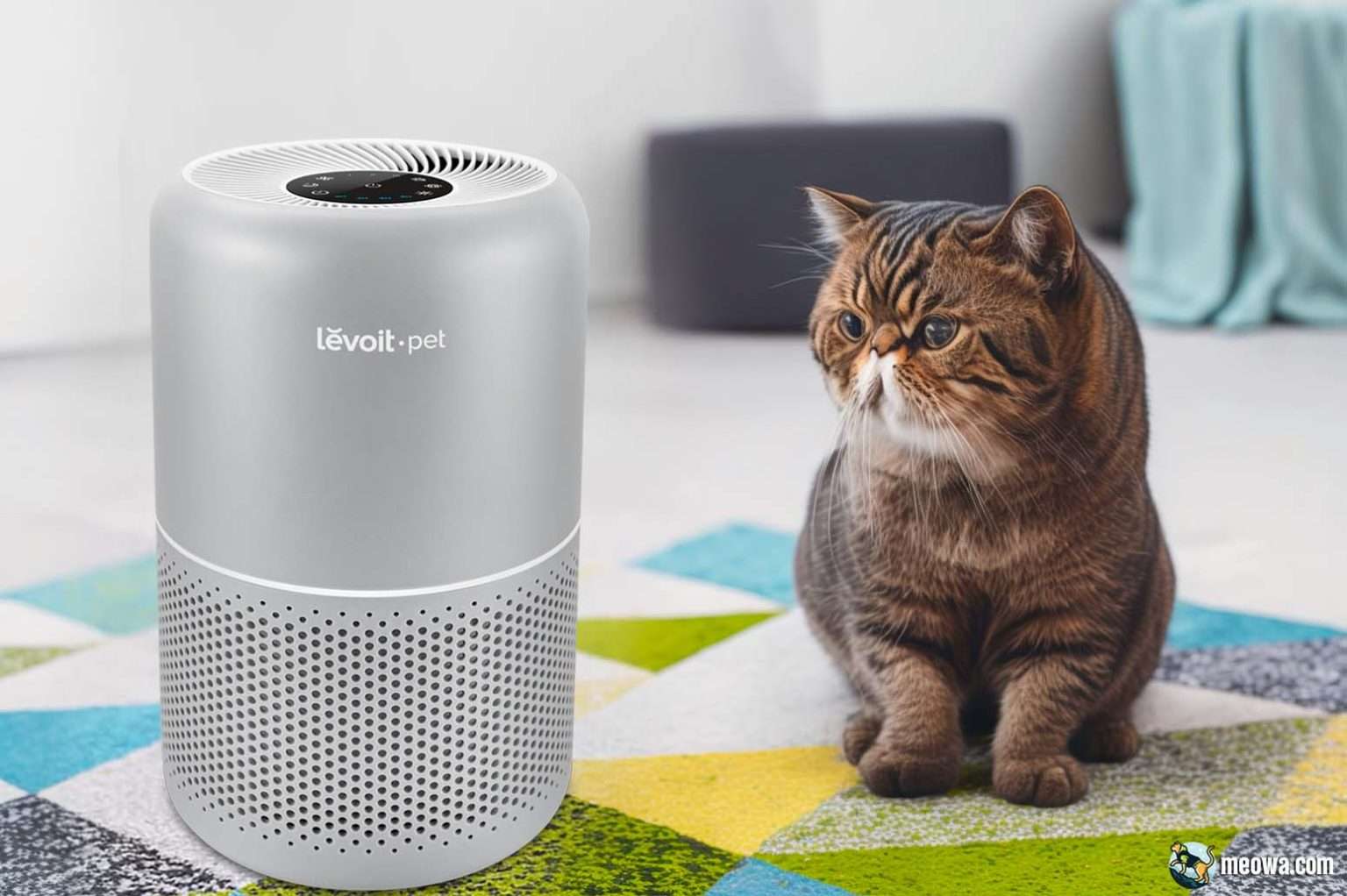 Best Air Purifier For Cats 2024: Top 7, Reviews, Comparisons