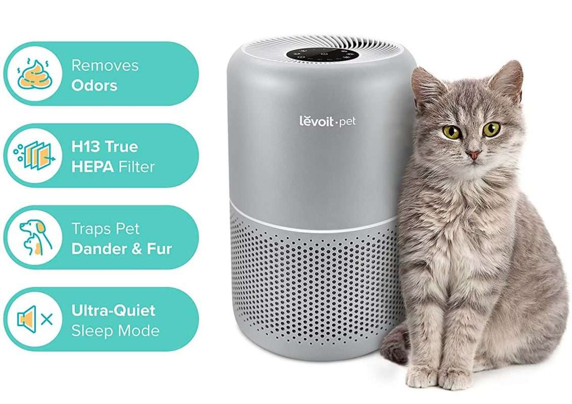Best Air Purifier For Cats 2024: Top 7, Reviews, Comparisons