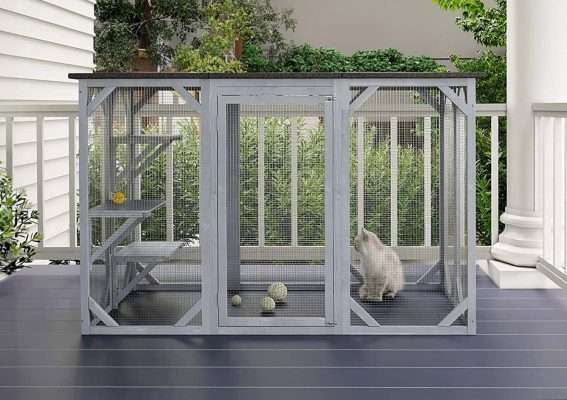 6 Best Outdoor Cat Enclosures In 2024: Ultimate Buying Guide