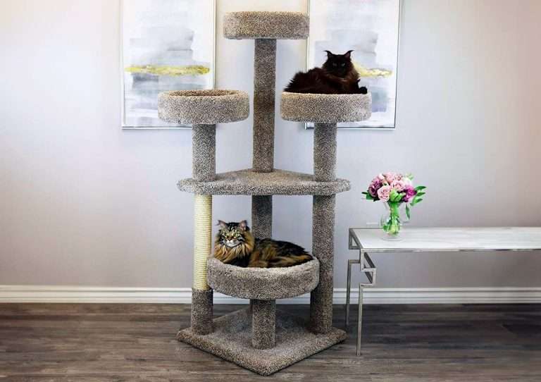 10 Best Cat Trees For Large Cats: Your 2023 Buying Guide