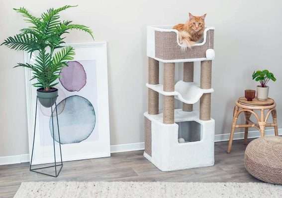10 Best Cat Trees For Large Cats: Your 2023 Buying Guide