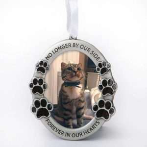 10 Best Cat Memorial Ideas: Honor Your Feline's Legacy